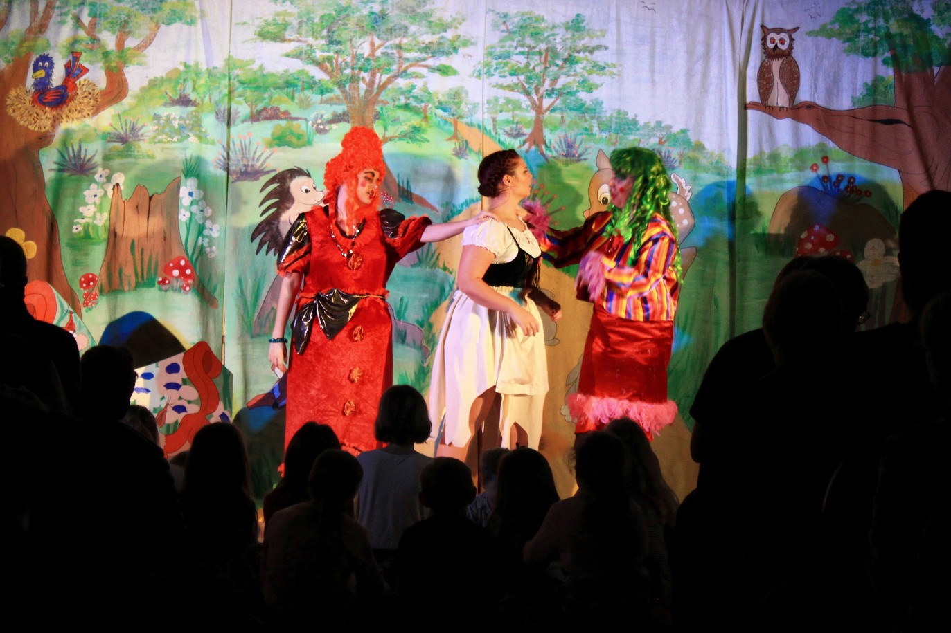 Cinderella panto Sunday 18th December – Rayne Village Hall & Playing Fields